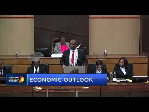 Gauteng MEC Jacob Mamabolo delivers 2024/25 Provincial Budget (full ...