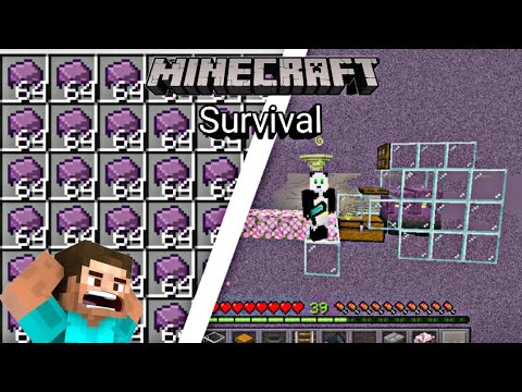 Minecraft easy shulker farm - YouTube