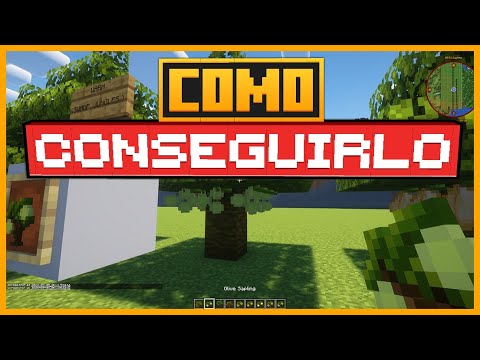 🟨 CÓMO CONSEGUIR OLIVOS en el MOD de PAM’S HARVESTCRAFT 2 en MINECRAFT - YouTube