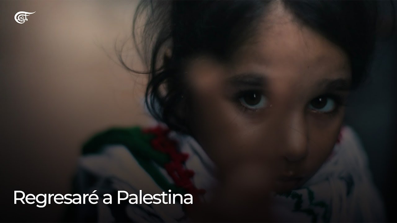 Focus | Regresaré a Palestina - YouTube