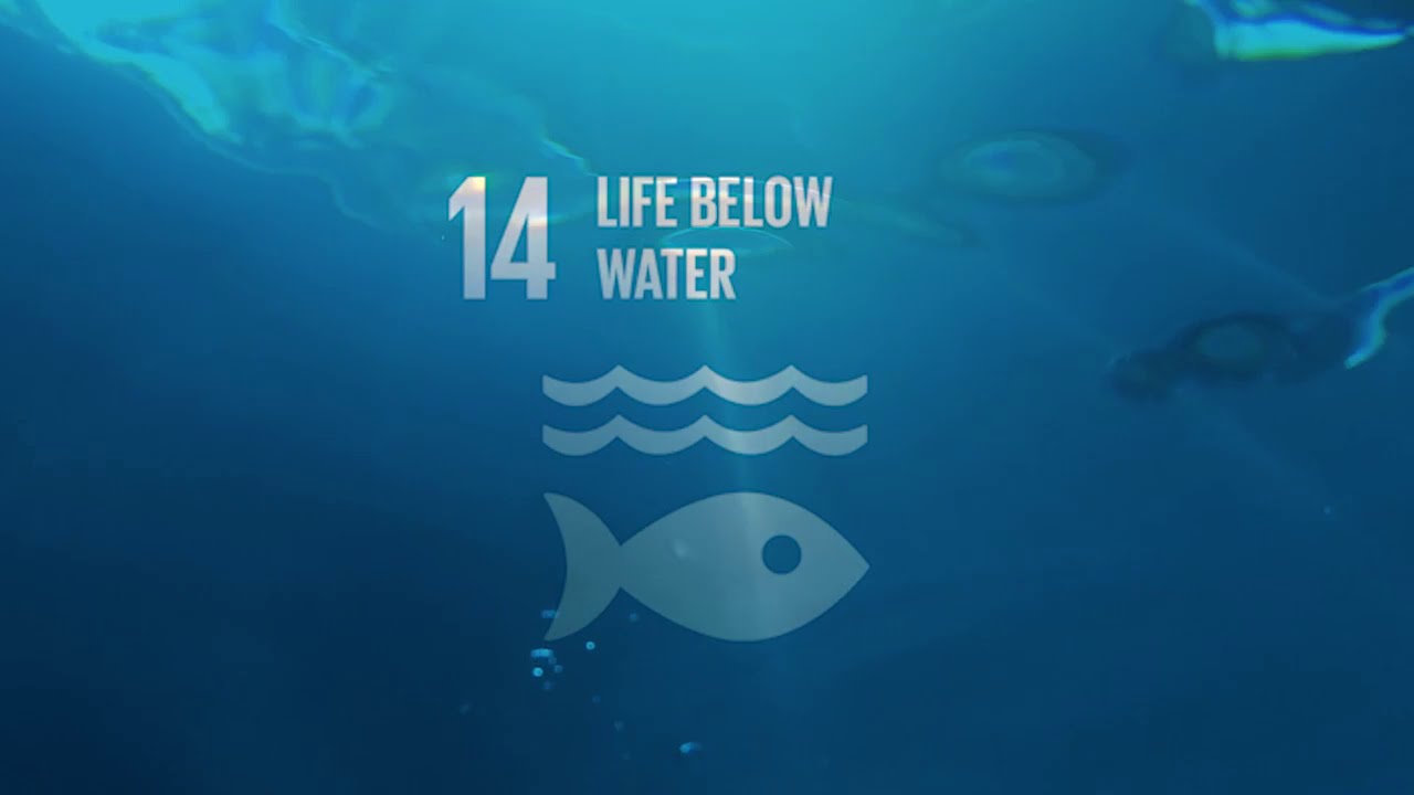 SDG 14 Ocean VIDEO 2020 vF2 - YouTube
