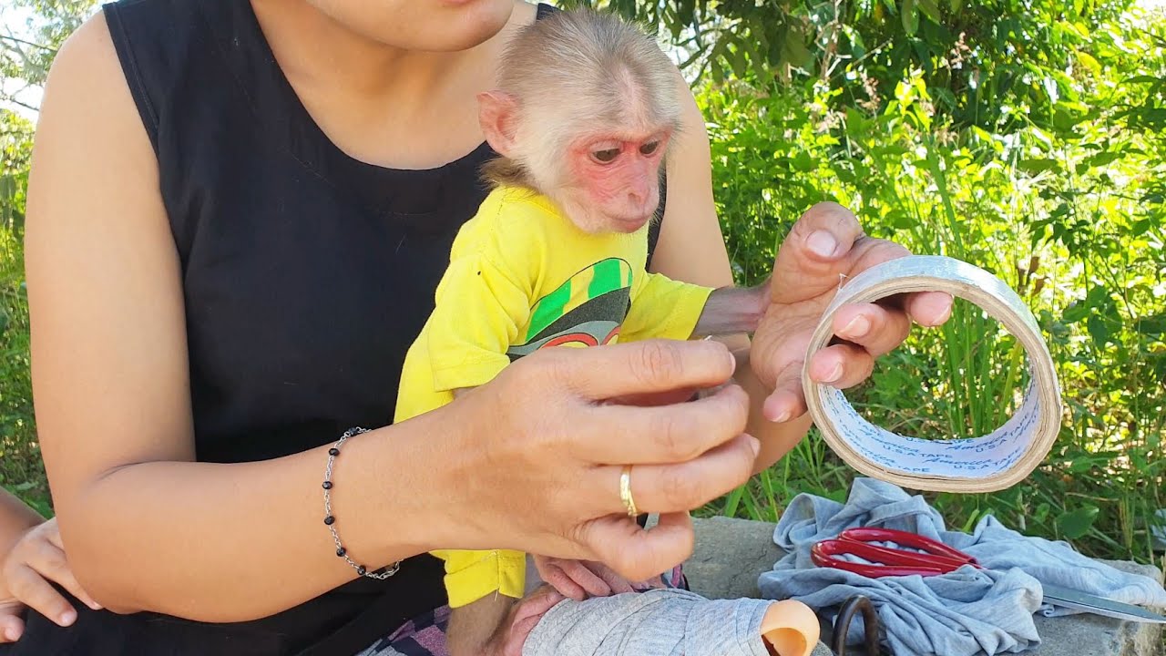 Monkey Bob helping Mom fix the crutch is so much fun - YouTube