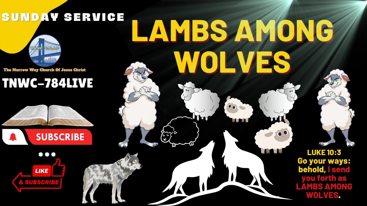 TNWC-784LIVE - Lambs Among Wolves | November 19, 2023 - YouTube