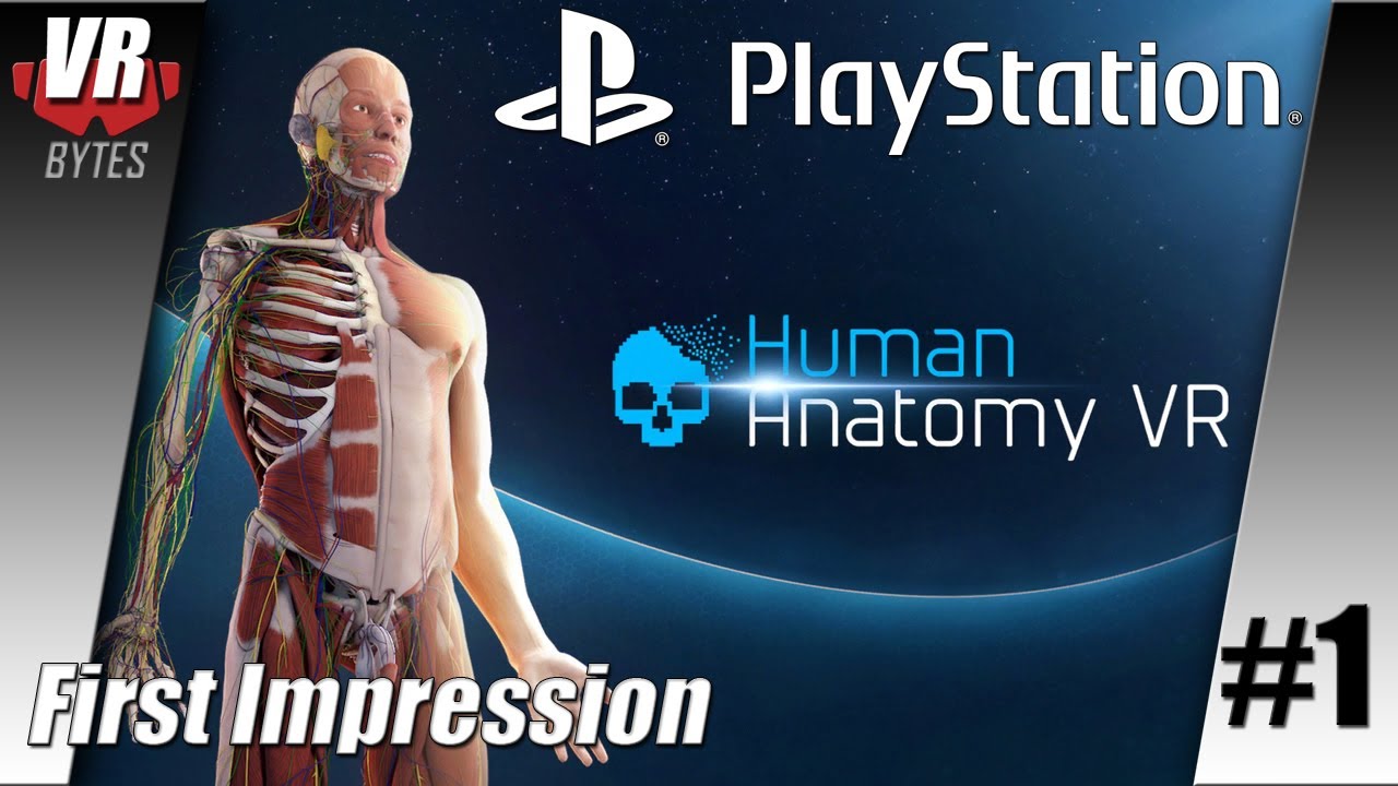 Human Anatomy VR / Playstation VR / First Impression / German / PSVR ...