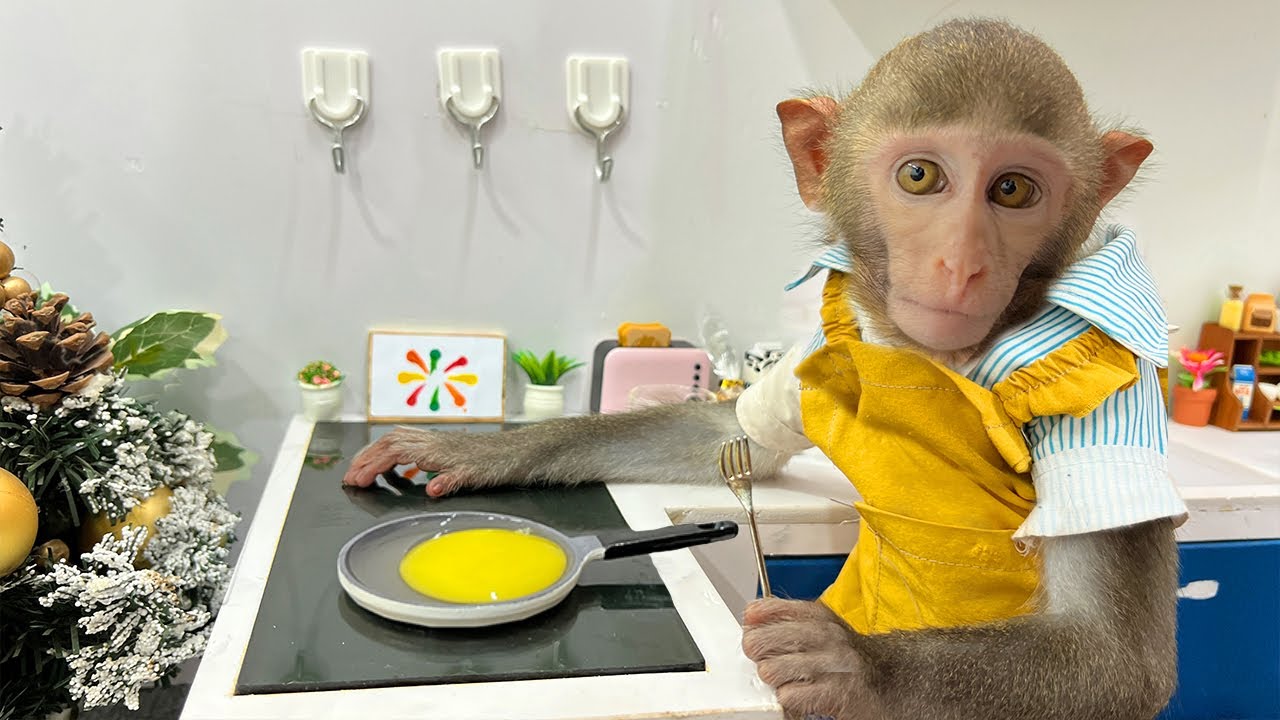 Baby Monkey Bim Bim washes clothes in the toilet and plays with ...