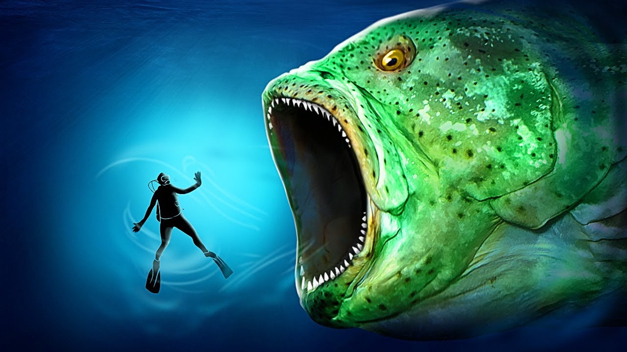 45 + Incredibly Huge Creatures Living in the Ocean Depths - YouTube