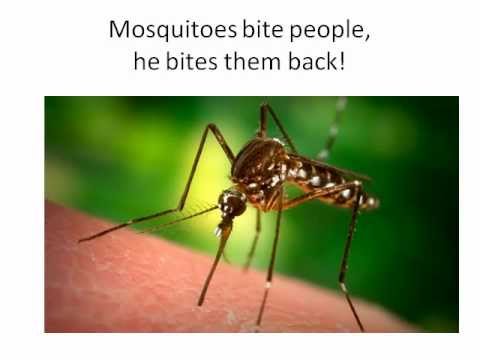 My Brother Eats Bugs Song