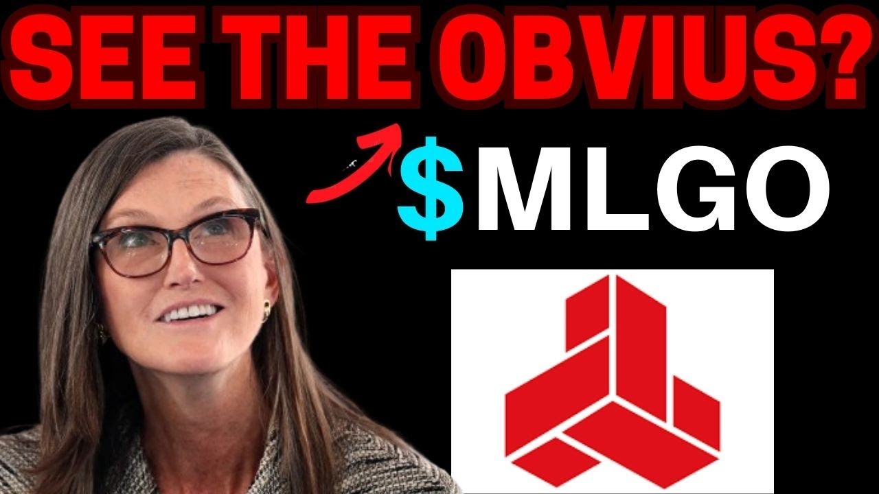 MLGO Stock: (MicroAlgo stock) MLGO STOCK PREDICTIONS MLGO STOCK ...