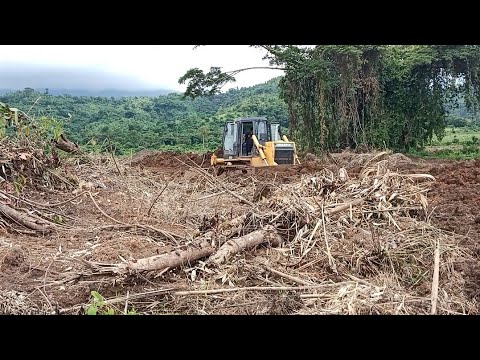 Legendary Operator in Greeder Practice Bulldozer XL Road Widening ...