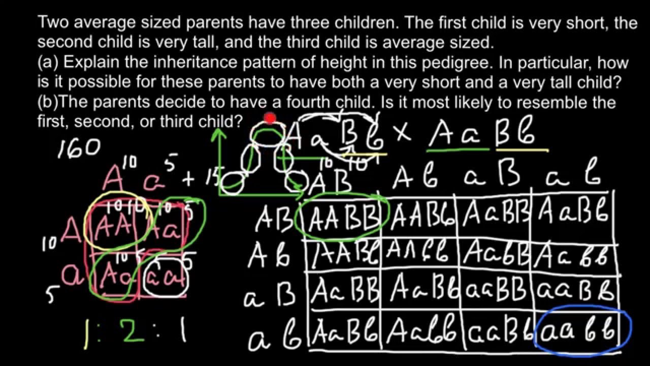 How to solve quantative traits problems - YouTube