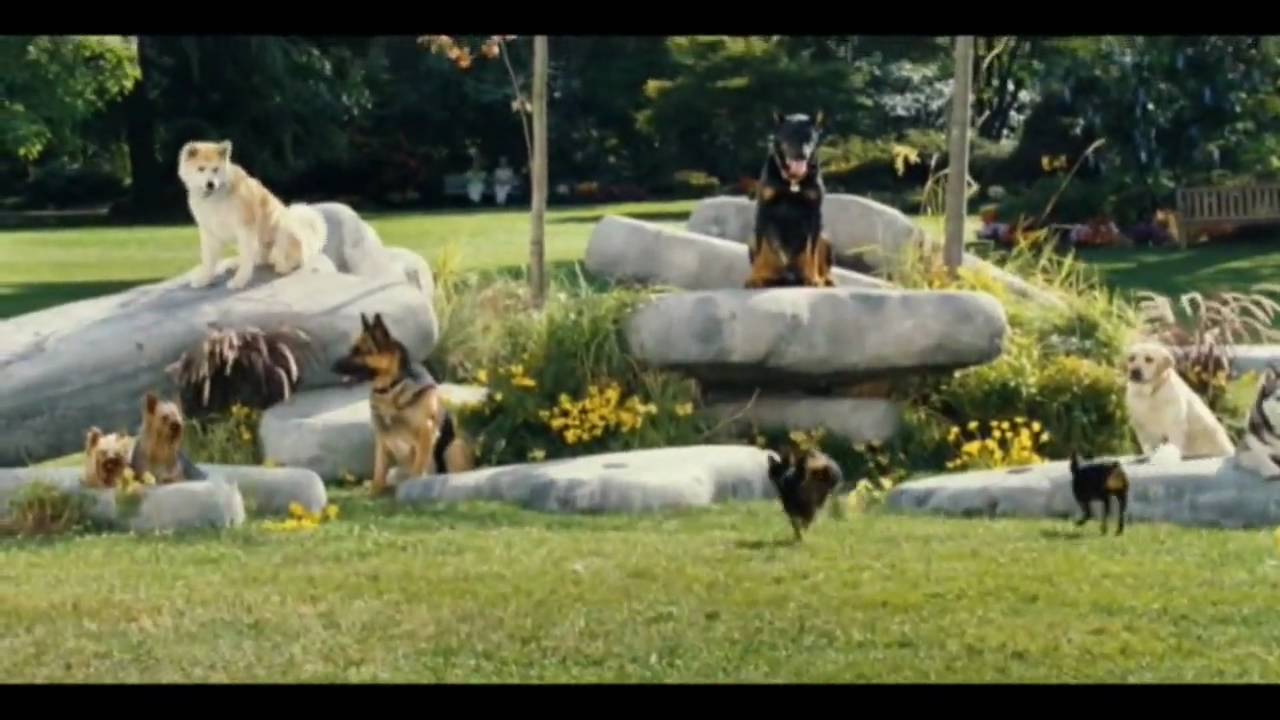 Marmaduke (720p) - YouTube