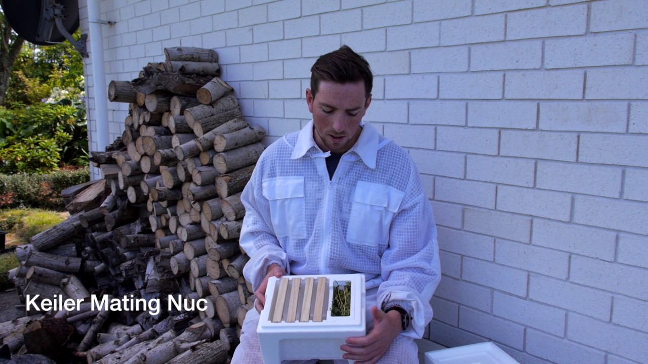 Beekeeping Basics with Thomas Clow - Kieler Mating Nuc Introduction ...