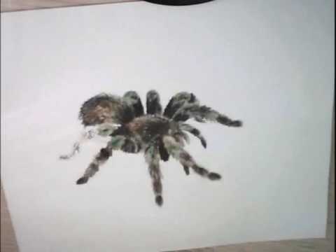 Scary Spider speed drawing - YouTube