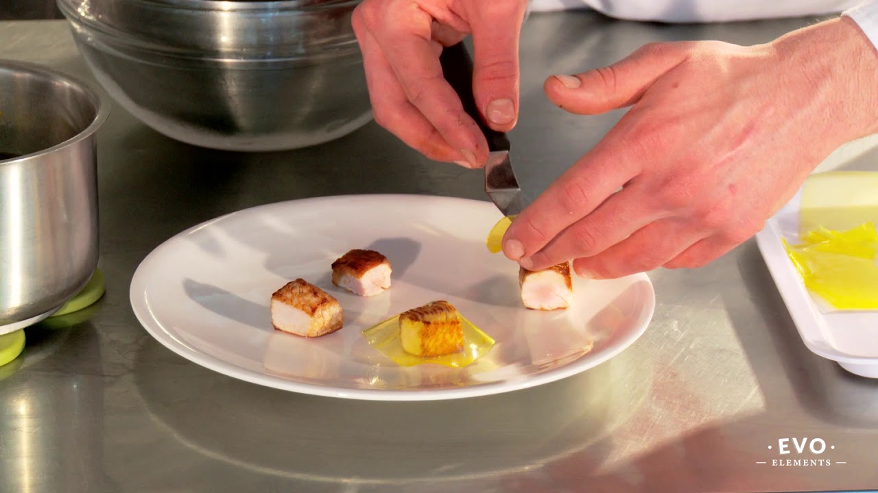 AGAR2 - Cinque Tecniche con Agar2 - YouTube