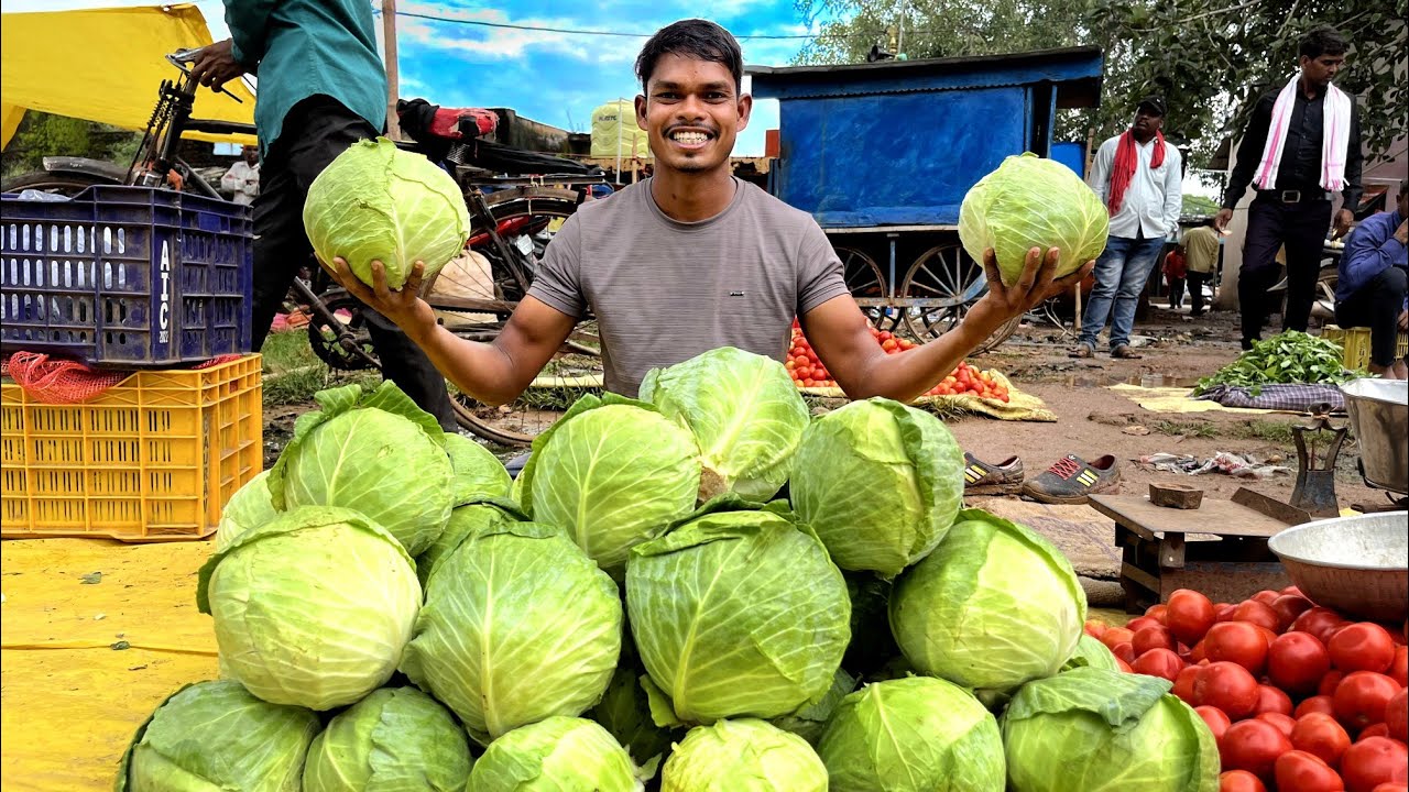 I Bought This Cabbage And Resell At Market How Much I Earn Today? - YouTube