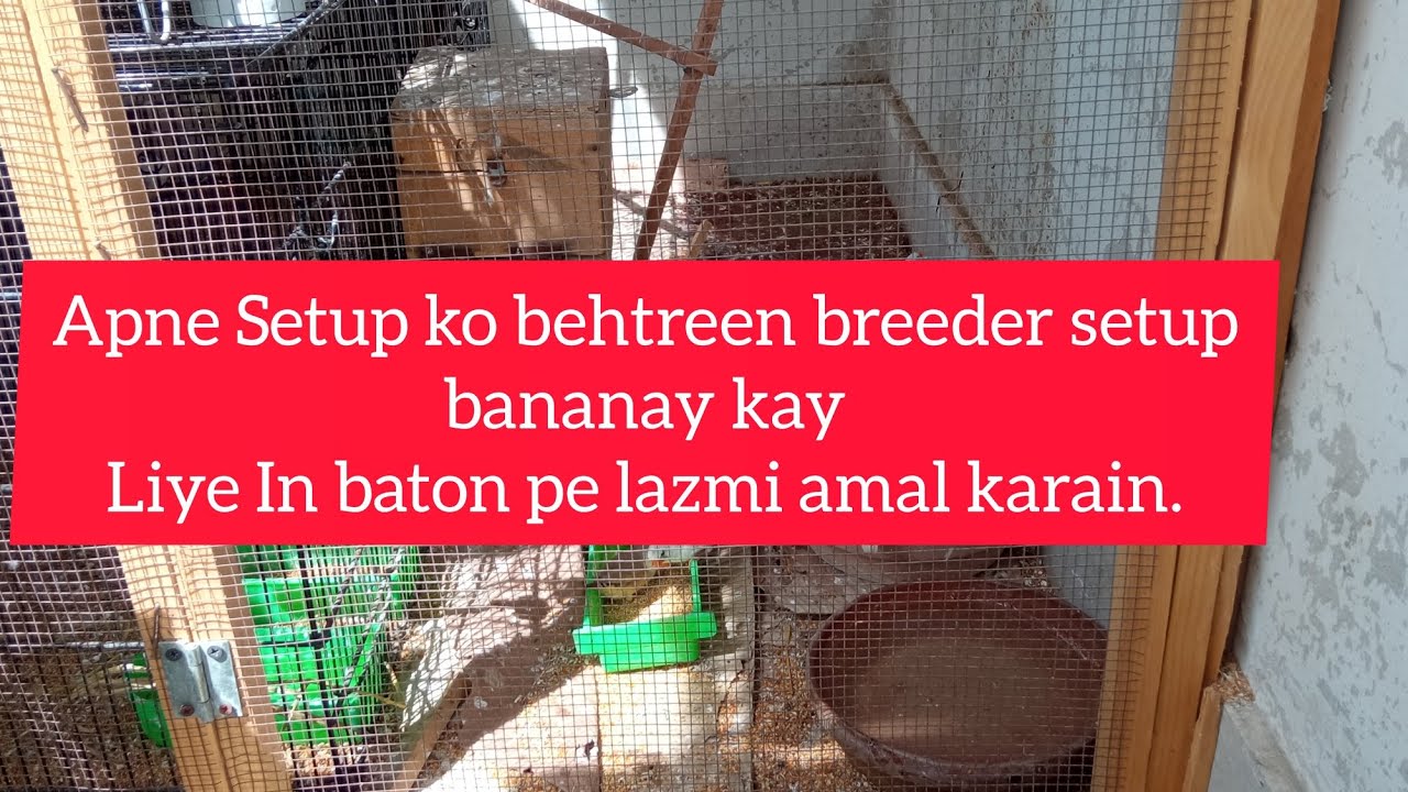 Apne setup ko behtreen breeder setup bananay k liye in baton pe lazmi ...