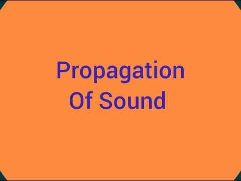 Propagation of sound,Chapter 12,Sound, class 9,Physics,CBSE text wise ...