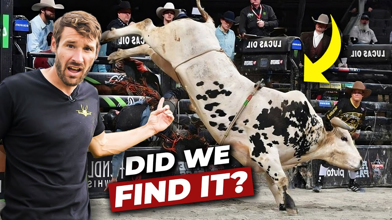 Looking for World Class Bucking Bull - YouTube