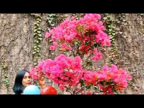 Dawan Mix Vlogs is live! ITULOY ANG NAUMPISAHAN - YouTube