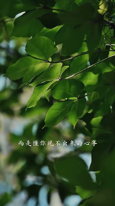 世上最好的默契，不是有人懂你说出来的故事，而是懂你说不出来的心事。一个懂你辛苦的人，胜过一群懂你笑的人。千言万语不如一句： 我懂你” 情感共鸣 懂你 感悟 Youtube