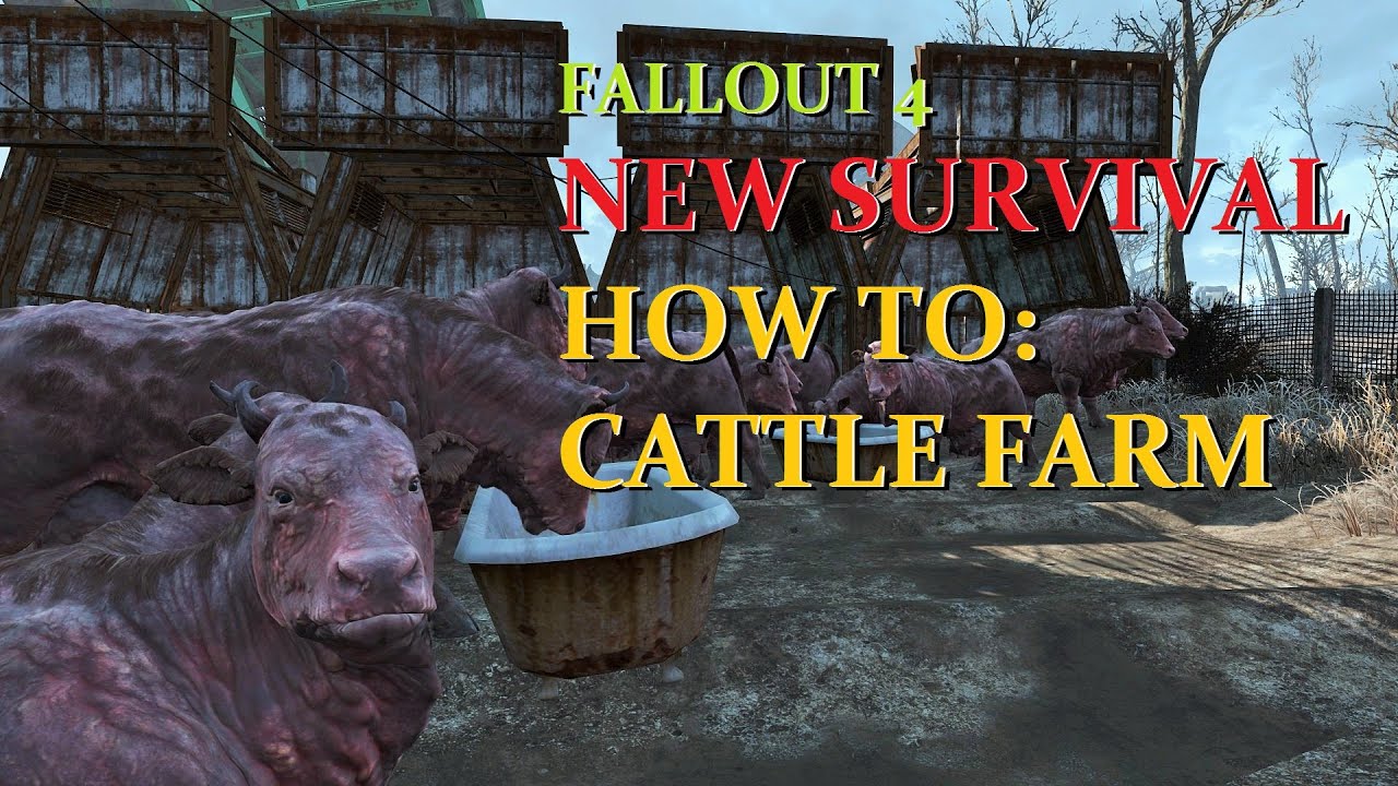 NEW SURVIVAL HOW TO: CATTLE FARM FALLOUT 4 - YouTube