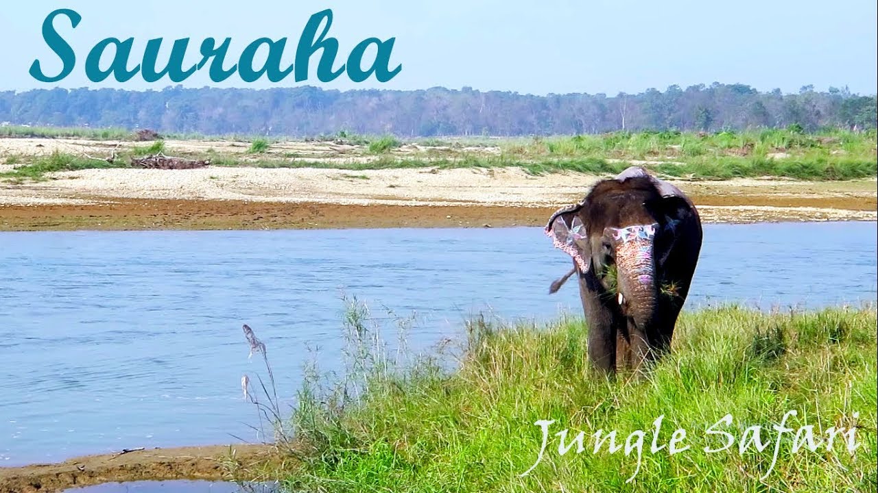 Sauraha Chitwan - YouTube