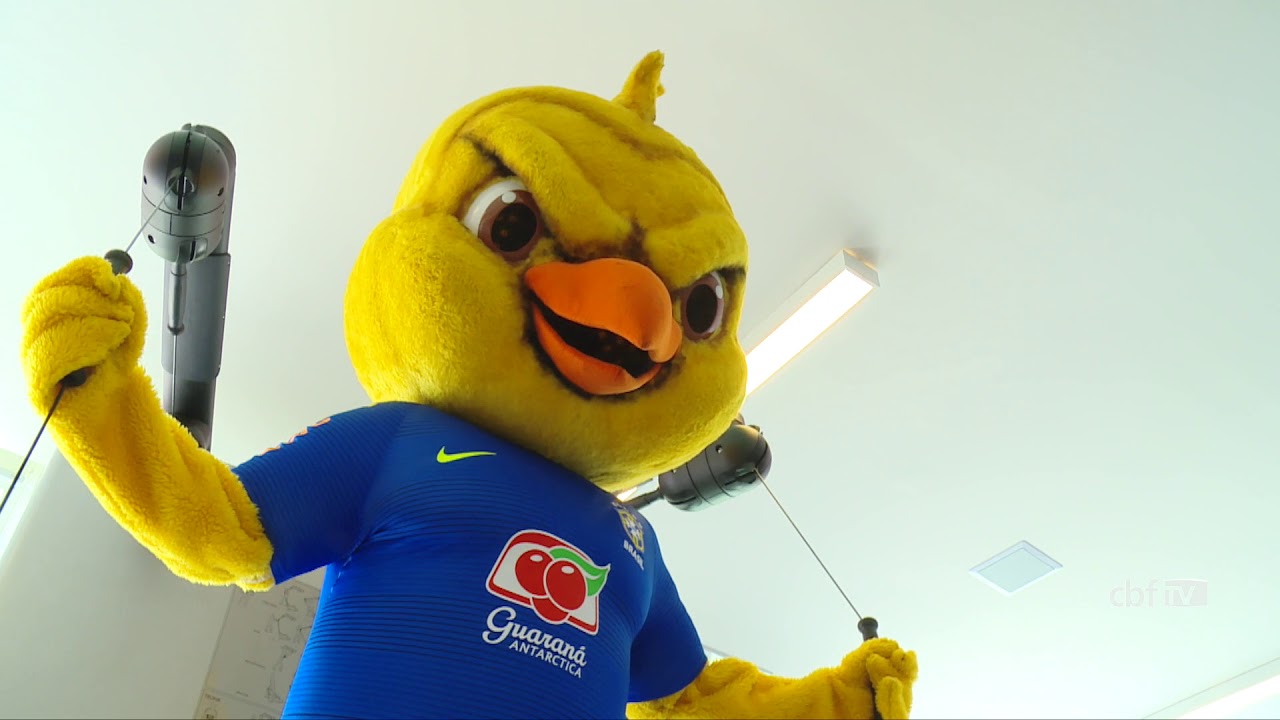 Canarinho se prepara para os próximos jogos da Seleção Brasileira - YouTube