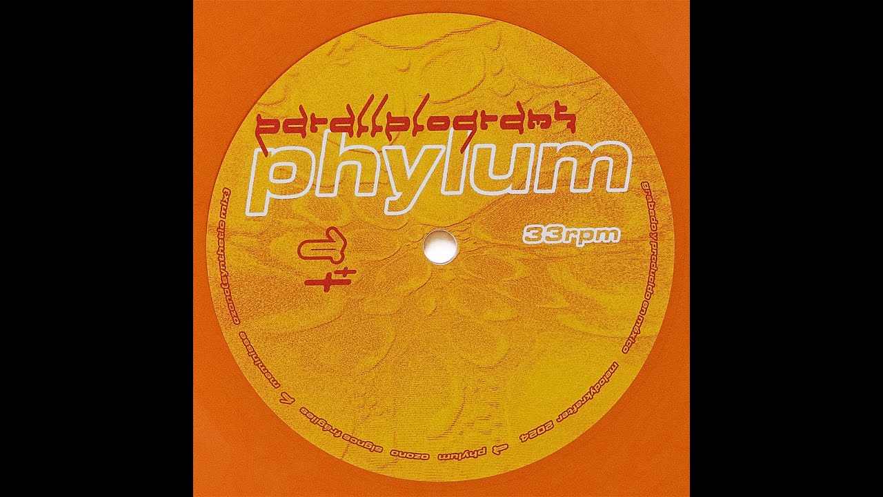 Parallelograms -- Phylum - YouTube