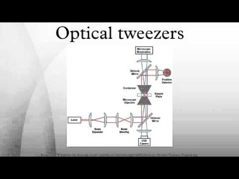 Optical tweezers - YouTube