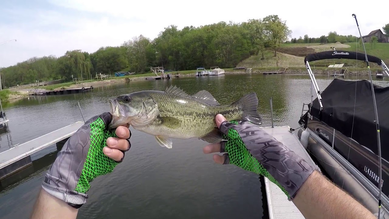 Dropshot Fishing/Jp Hammer Shad - YouTube