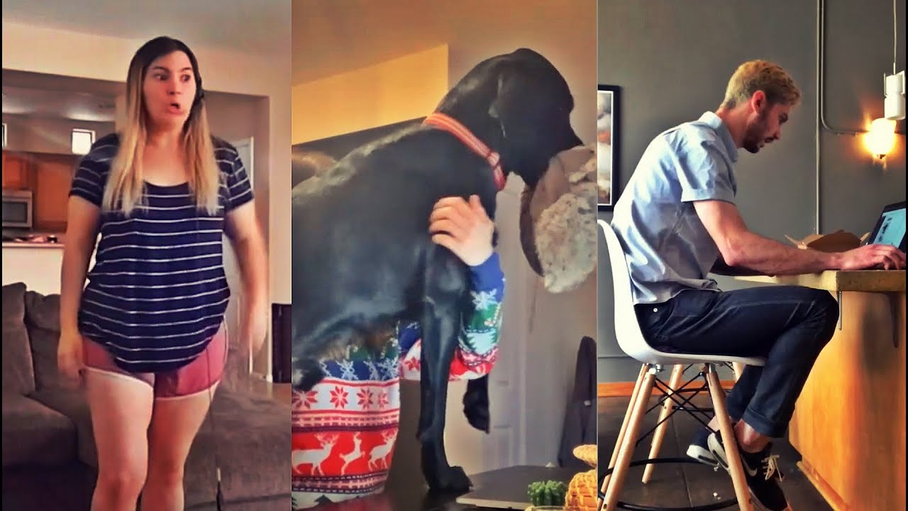 Work From Home Fails During Lockdown - [U Fail Daily] - YouTube