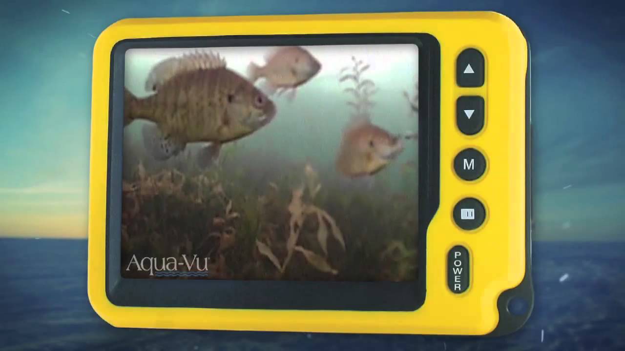Combining Sonar With Underwater Cameras - YouTube