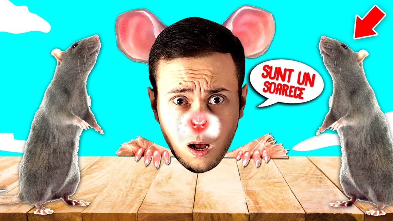 SUNT un SOBOLAN la TINE in CASA ! Unde ? - YouTube