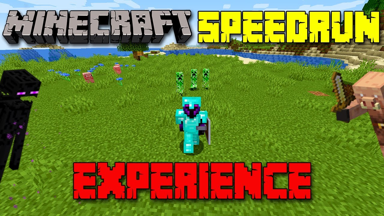 The Minecraft Speedrun Experience... - YouTube