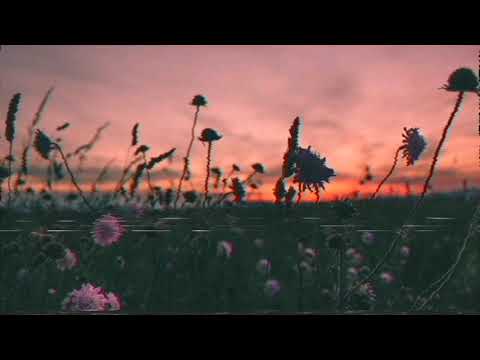 Flower VHS effect.gif