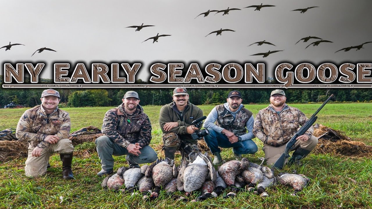 NEW YORK EARLY SEASON GOOSE!!! |HUNDREDS OF GEESE| - YouTube
