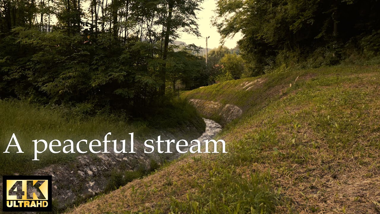 A peaceful stream in the evening: 4k, 2 hours - YouTube