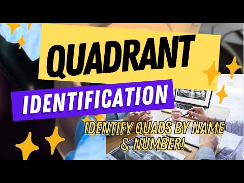 Quadrant Identification 🤗 - YouTube
