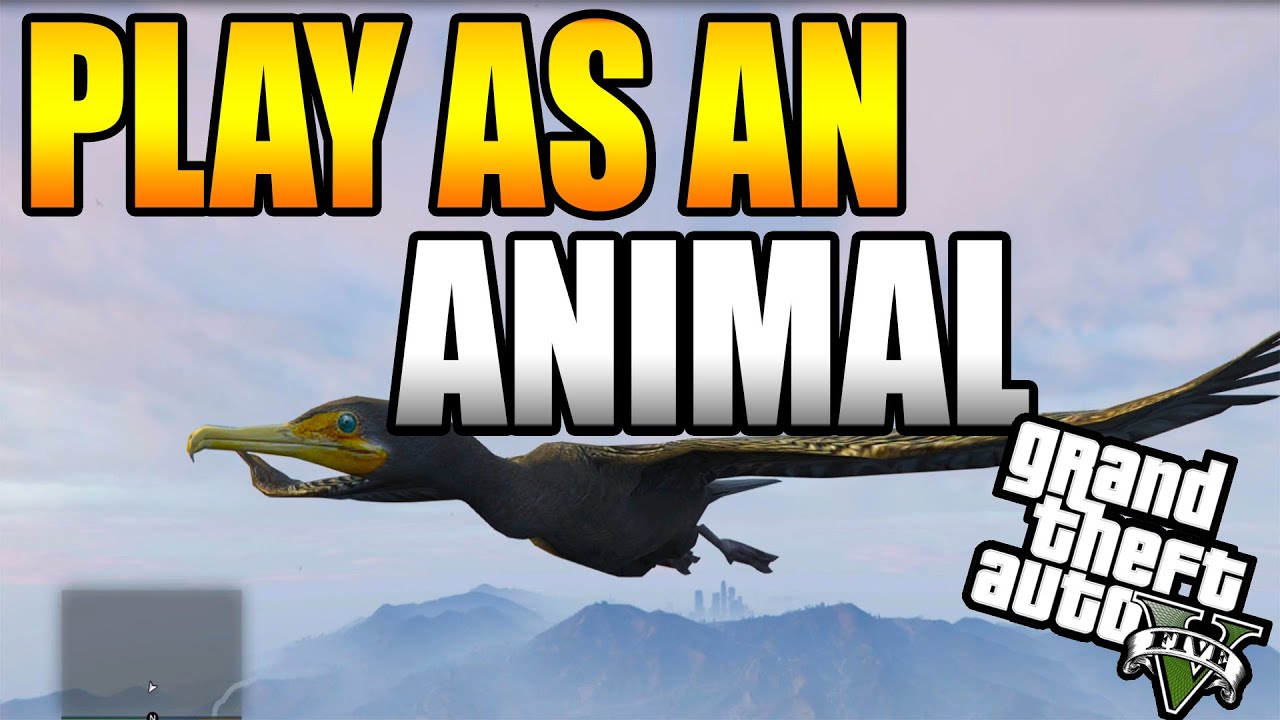 GTA 5 - Play As An Animal - Easter Egg - Bird Gameplay (Peyote Plants ...