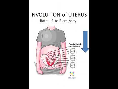 Obstetrics Involution define rate Uterus Shorts - YouTube