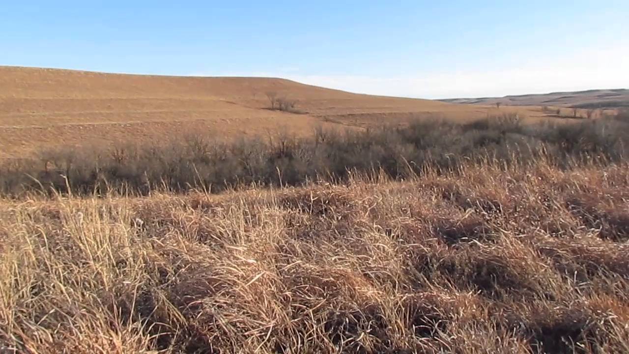 konza prairie color palette on the hiking reserve - YouTube