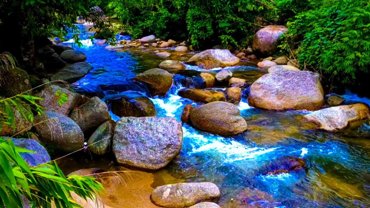 Relax brain therapy with natural sounds, sleep relaxation, insomnia ...