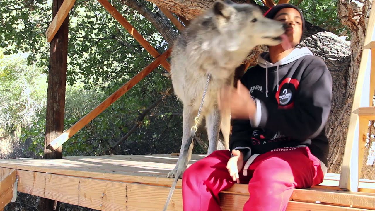 Medicine of the Wolf Trailer - YouTube