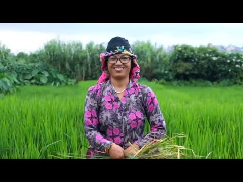 How We Are Working To Make A Better World