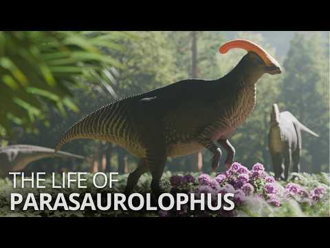 Wenn Fossilien Geräusche machen: Der wahre Klang des Parasaurolophus