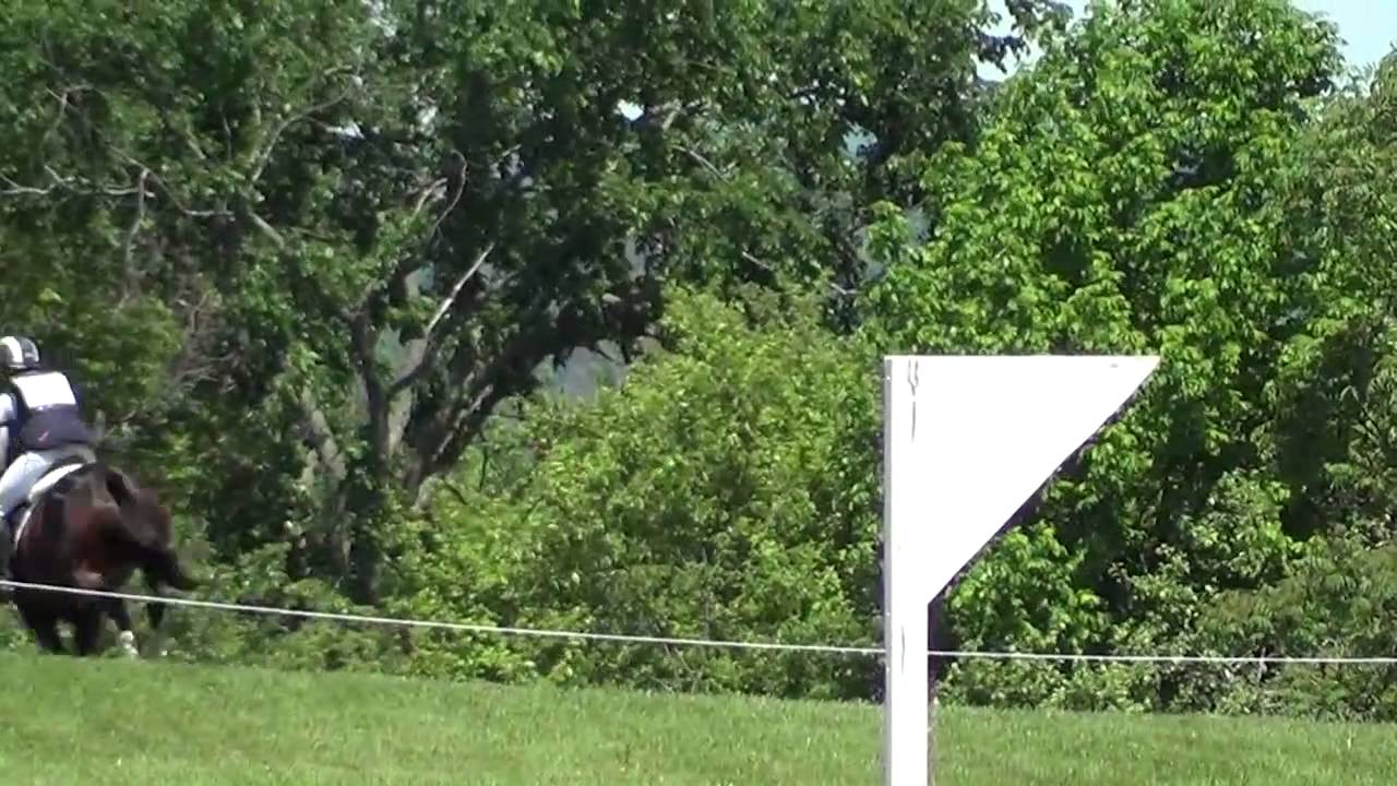 Alexandra Knowles & Sound Prospect at Bromont CCI 3* 2014 - YouTube