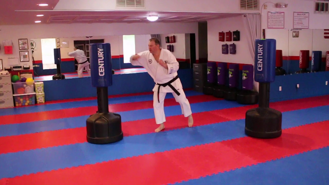 Rear Leg Step Back fist & Reverse Punch - YouTube