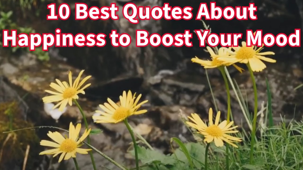 10 Best Quotes About Happiness to Boost Your Mood #quotes #happiness ...
