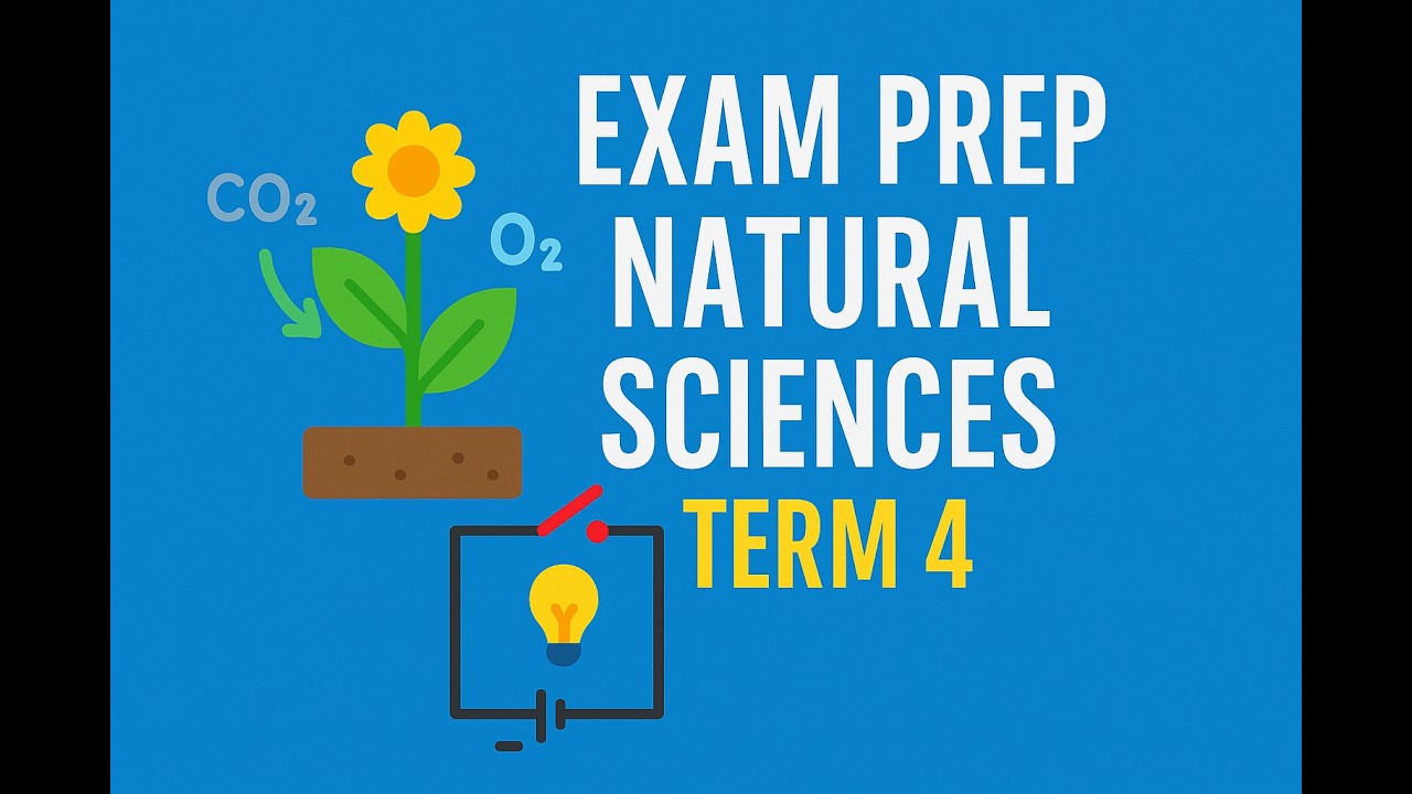 Exam Prep: Natural Sciences Term 4 - 2025 - YouTube