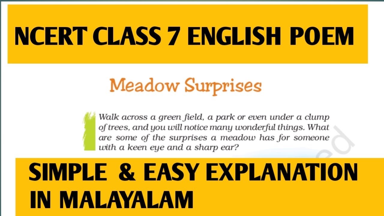 NCERT CLASS 7|ENGLISH POEM 8|MEADOW SURPRISES |SIMPLE AND EASY ...